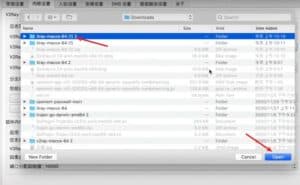 MacOS Qv2ray 客户端 Xray VLESS TCP XTLS 节点的参考配置详细图解教程 - 爱远眺